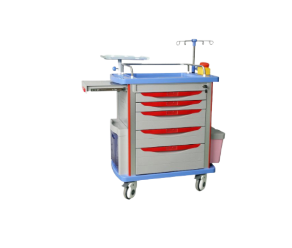 PRIMARY CARE :: EMERGENCY MEDICINE, RESUSCITATION :: EMERGENCY AND ...