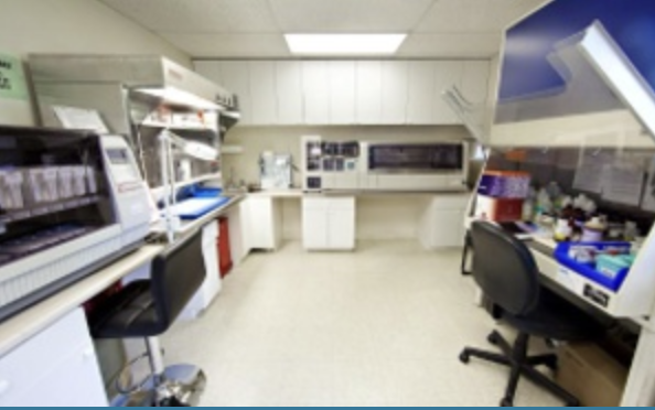 LABORATORIES :: LABORATORY INFRASTRUCTURE