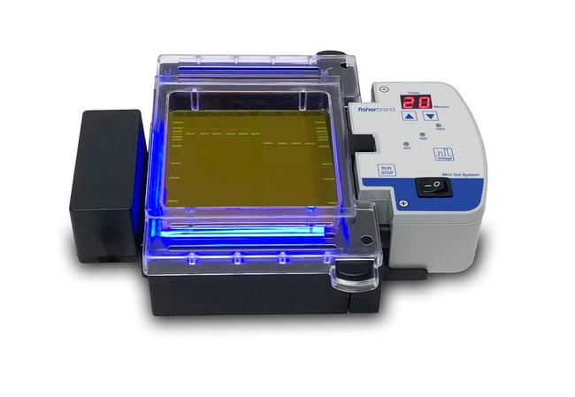 LABORATORIES :: MOLECULAR BIOLOGY :: ELECTROPHORESIS SYSTEMS