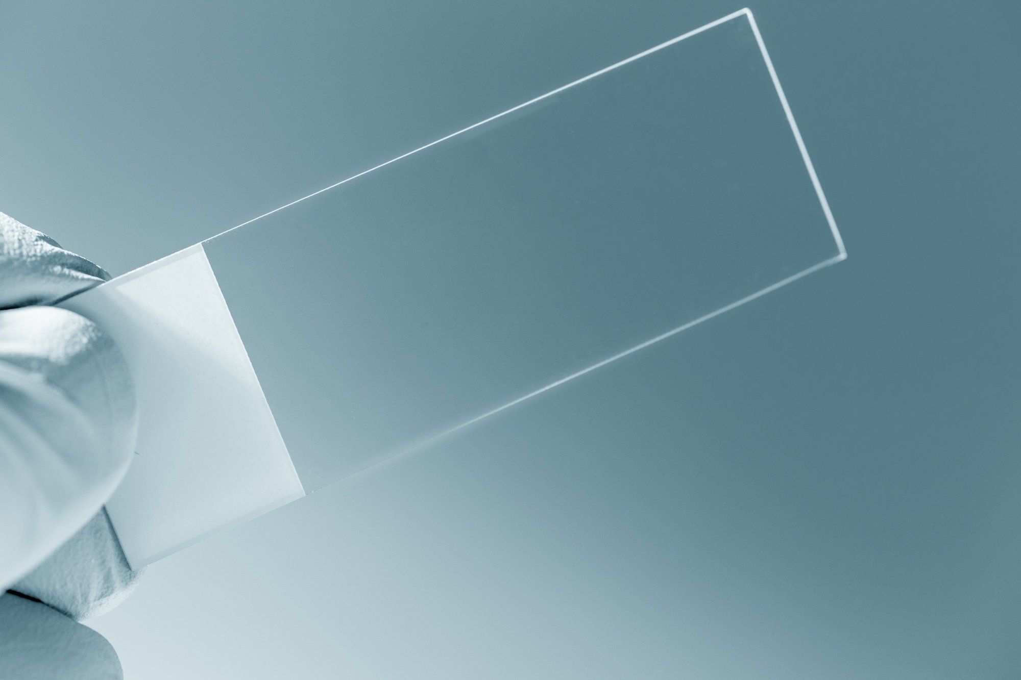 LABORATORIES :: PHYSICO-CHEMICAL ANALYSIS :: MICROSCOPE SLIDES