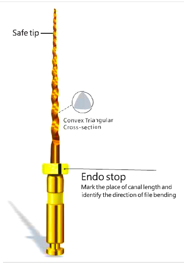 DENTAL :: ENDODONTICS :: ENDO ROTARY FILES :: D-Files Heat Activation ...